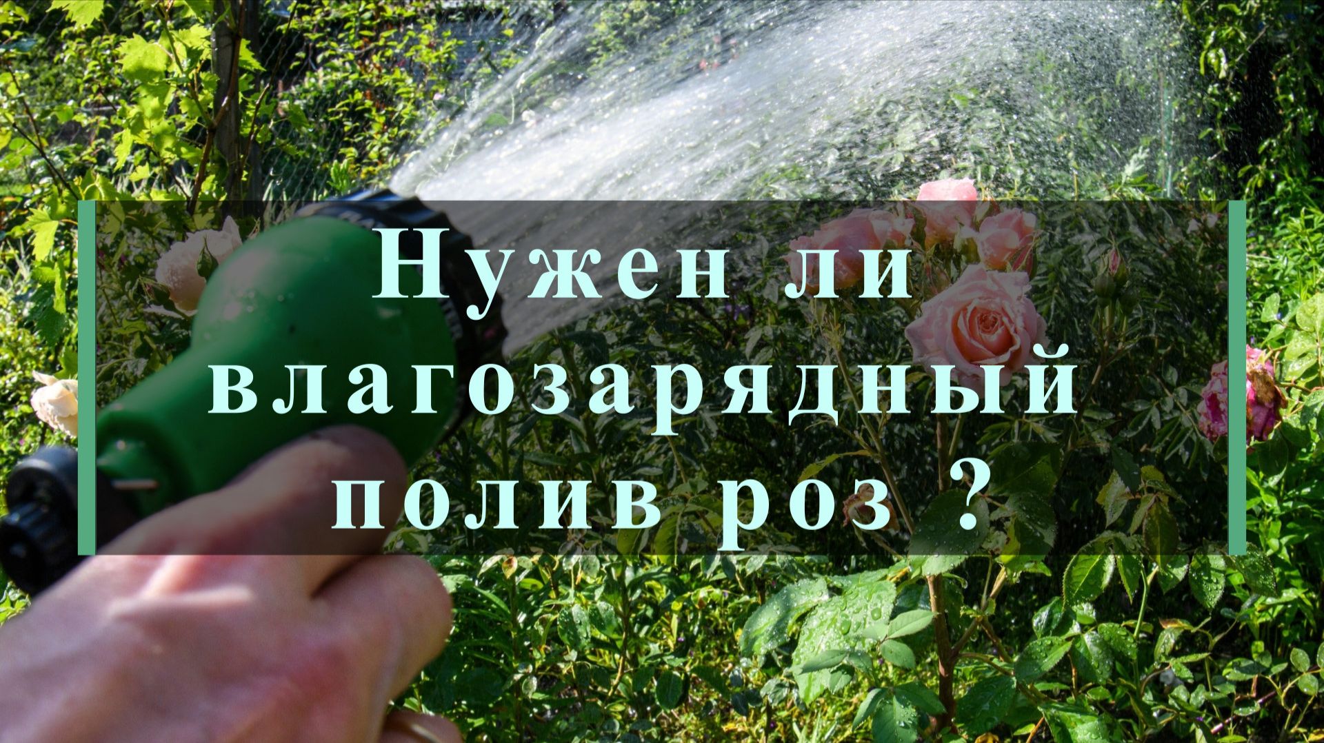 Ответы на вопросы подписчиков