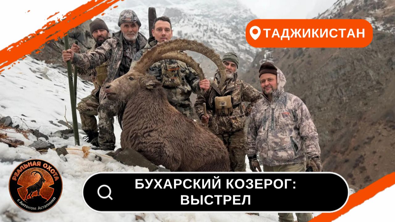 ВЫСТРЕЛ