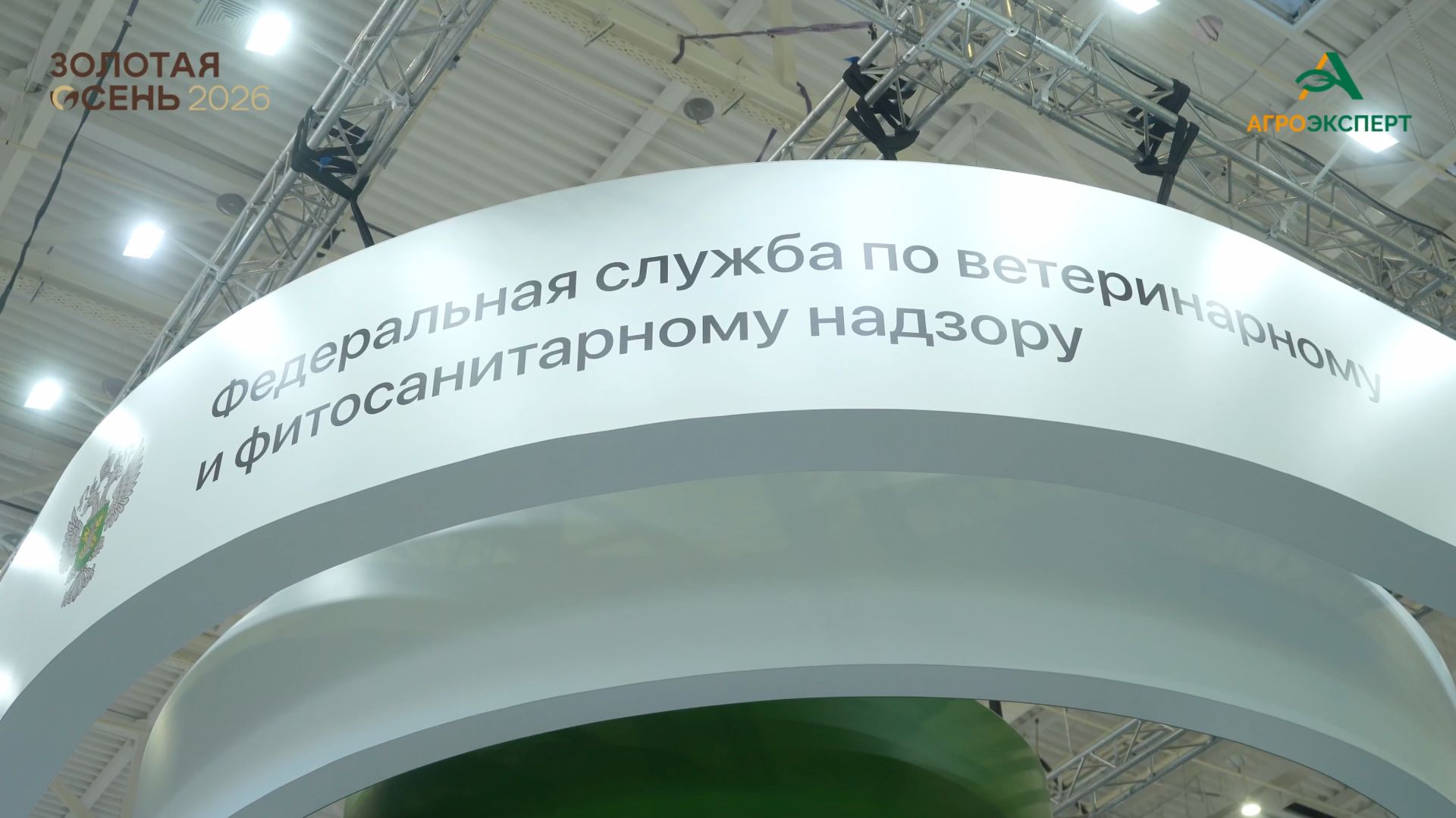 Видеосюжеты