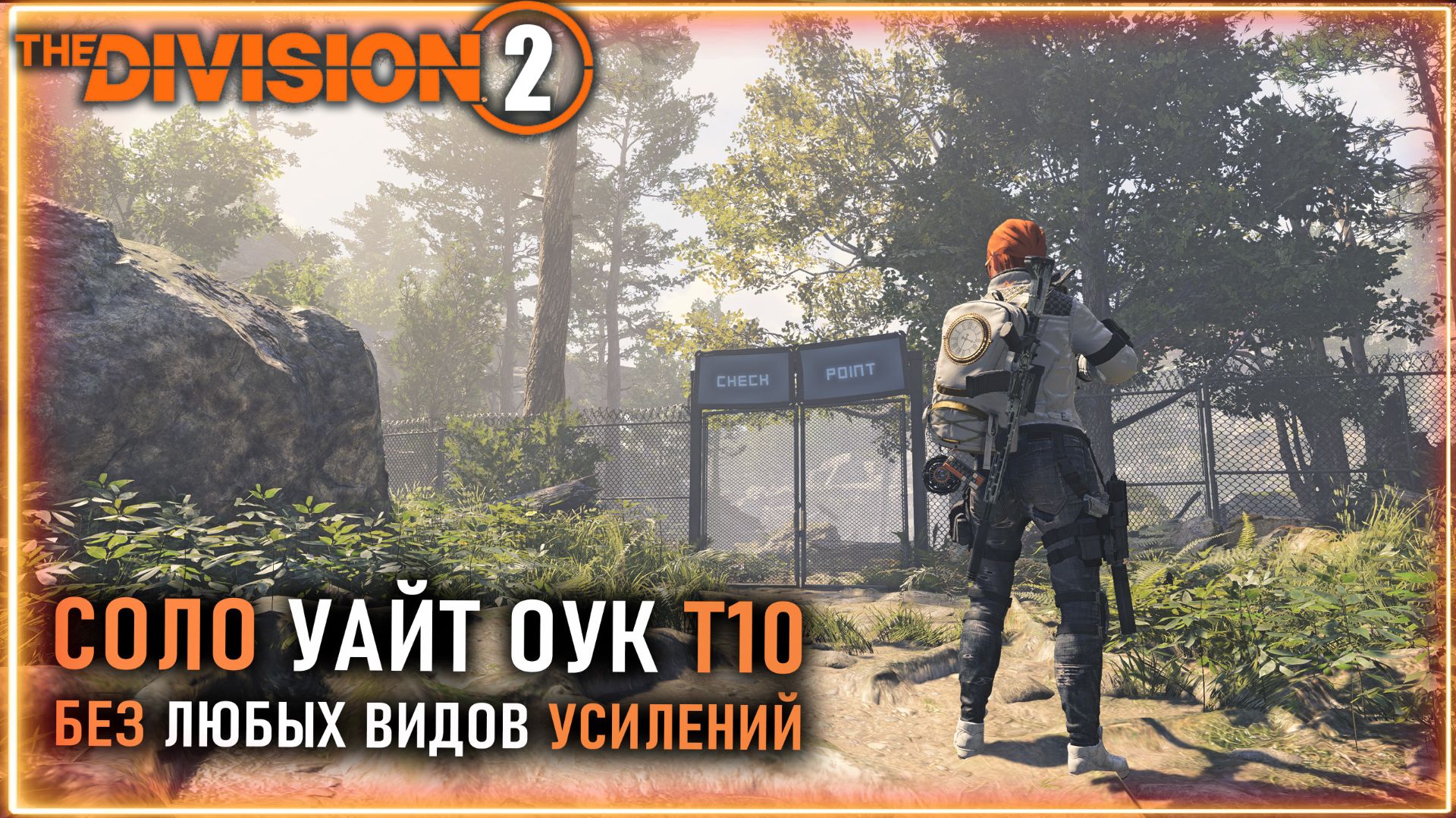 Division 2: Истории темной зоны и нарезки со стрима