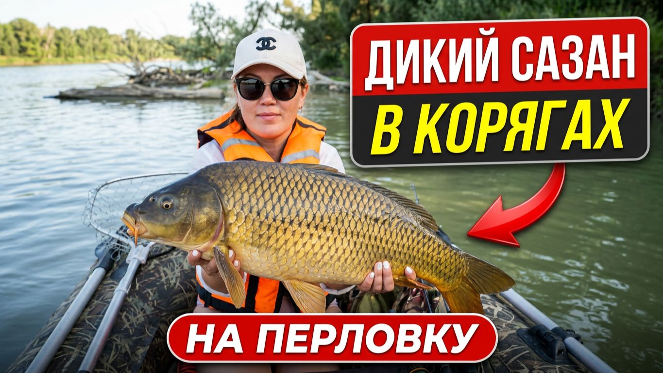 Летняя рыбалка: фидер, донка и поплавочная ловля. Секреты ловли, снасти и трофеи