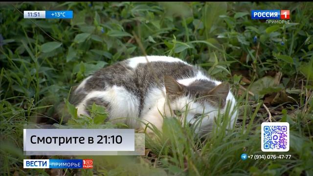 Вести Приморья