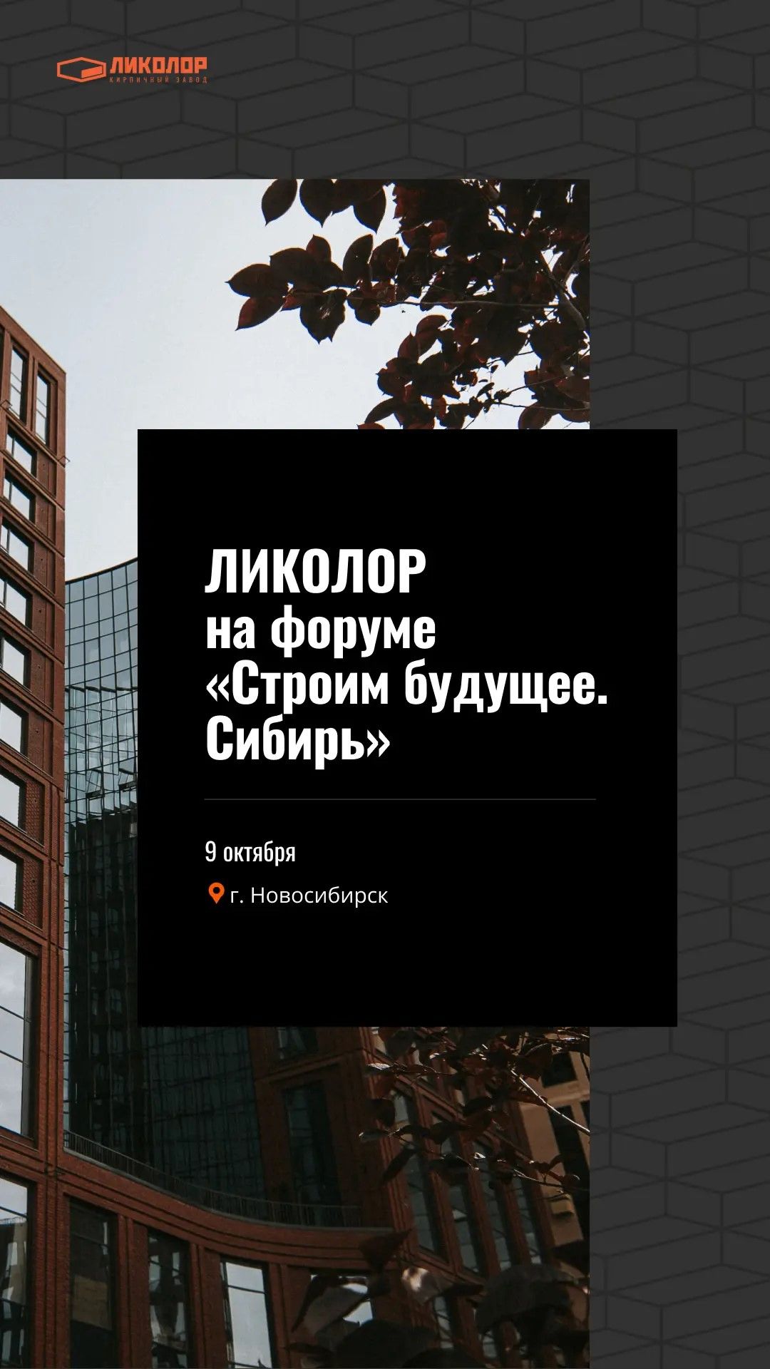 Новости и события — Ликолор