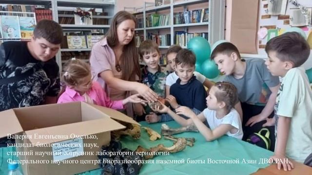 Как играть в палеонтологов