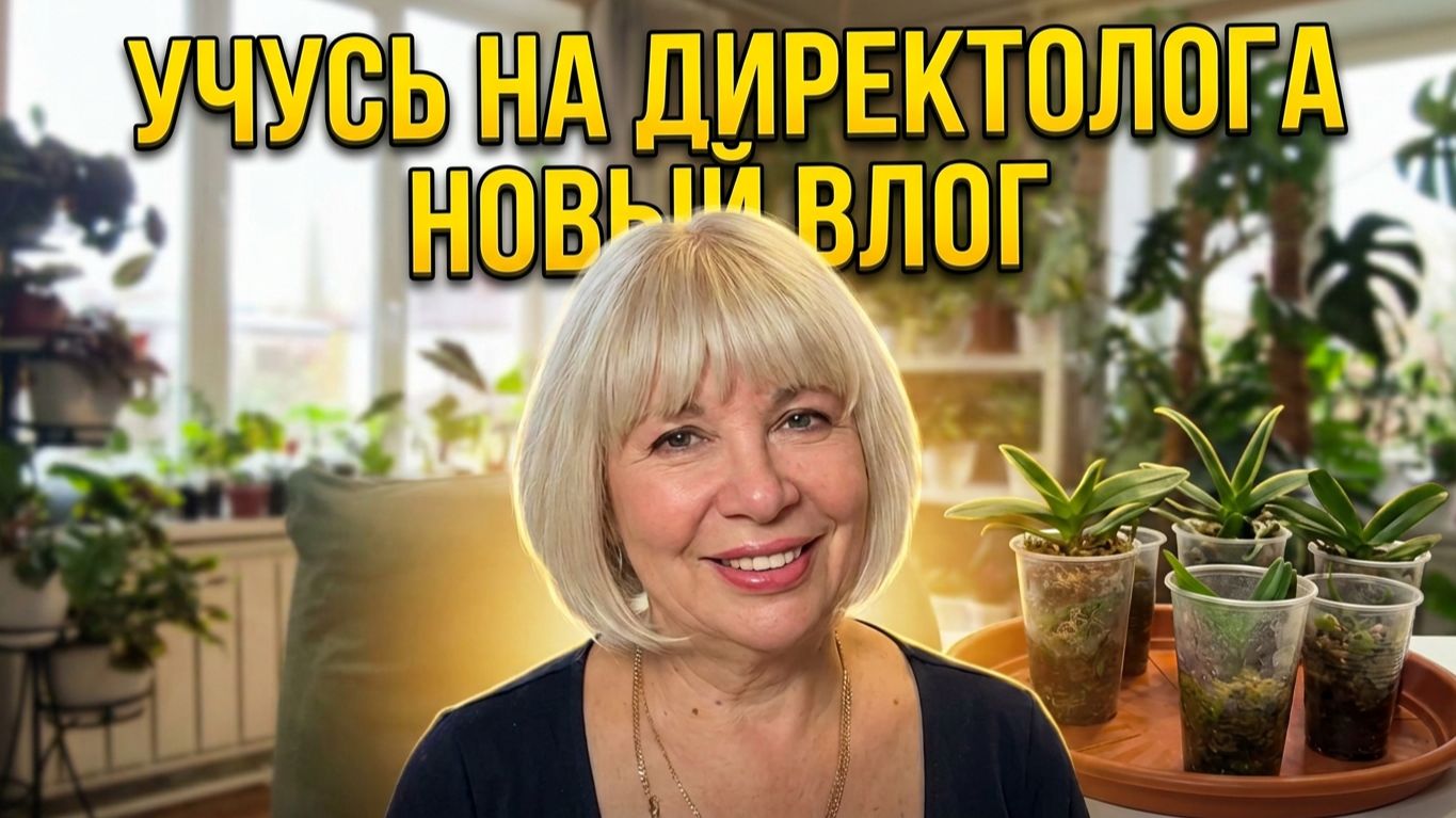 Мой сад
