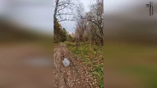 СЛУЖЕНИЕ ИСЦЕЛЕНИЯ И ОСВОБОЖДЕНИЯ