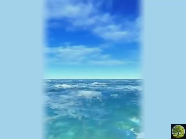 Моя видеожизнь