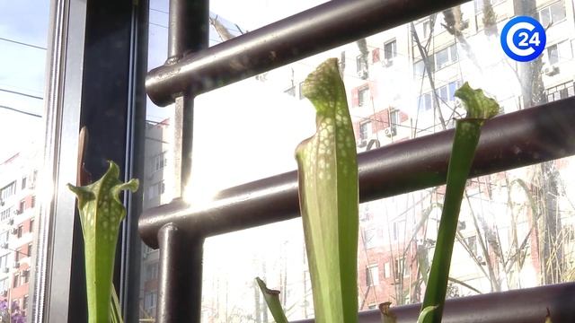 Саратов. Итоги
