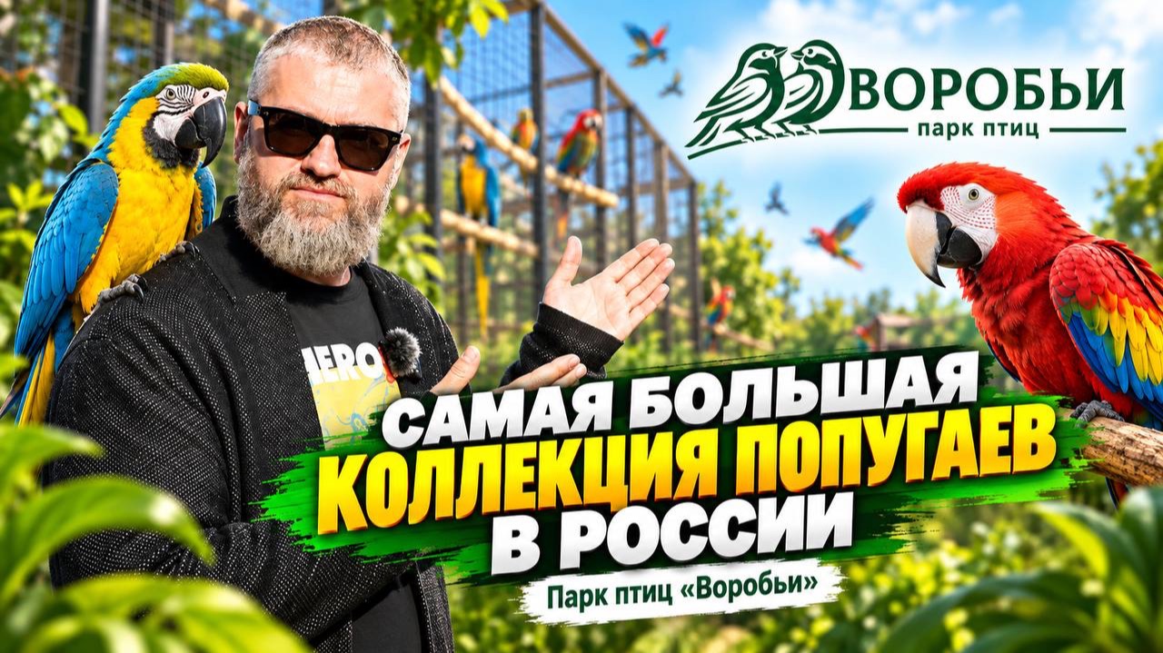 Парк Птиц