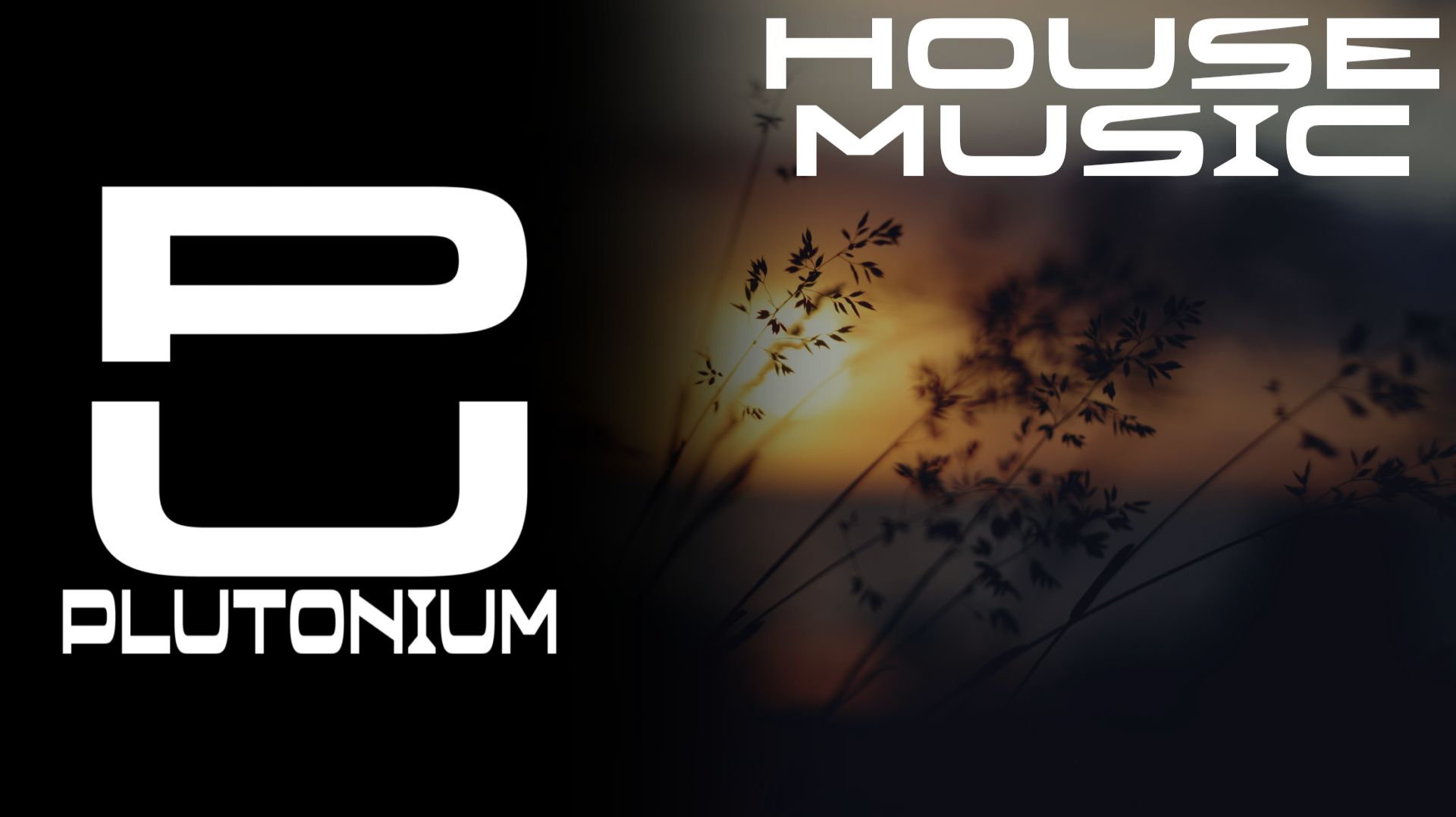 PlutoniuM - House