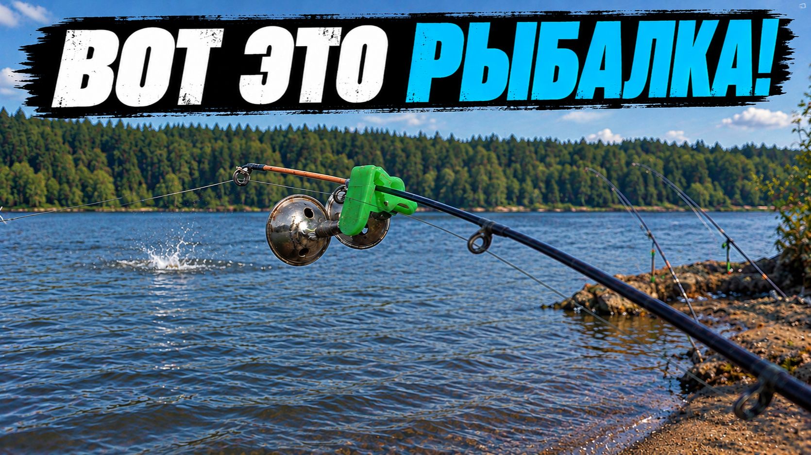 Рыбалка на фидер