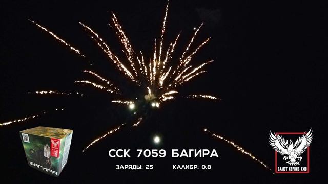 Салют Сервис