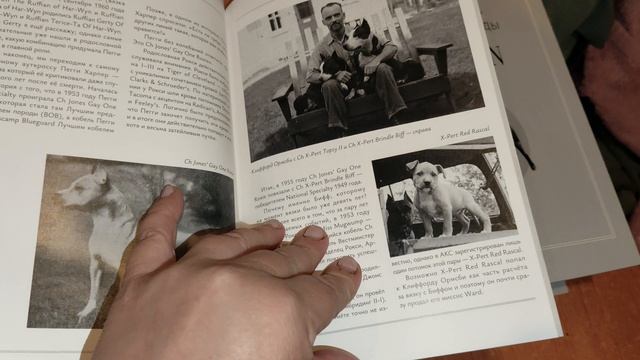 Выпускники