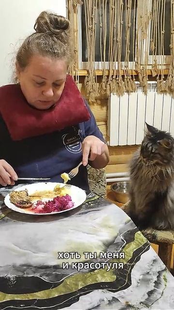 КотоПолезности