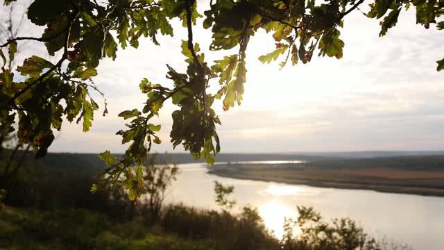 О Приднестровье