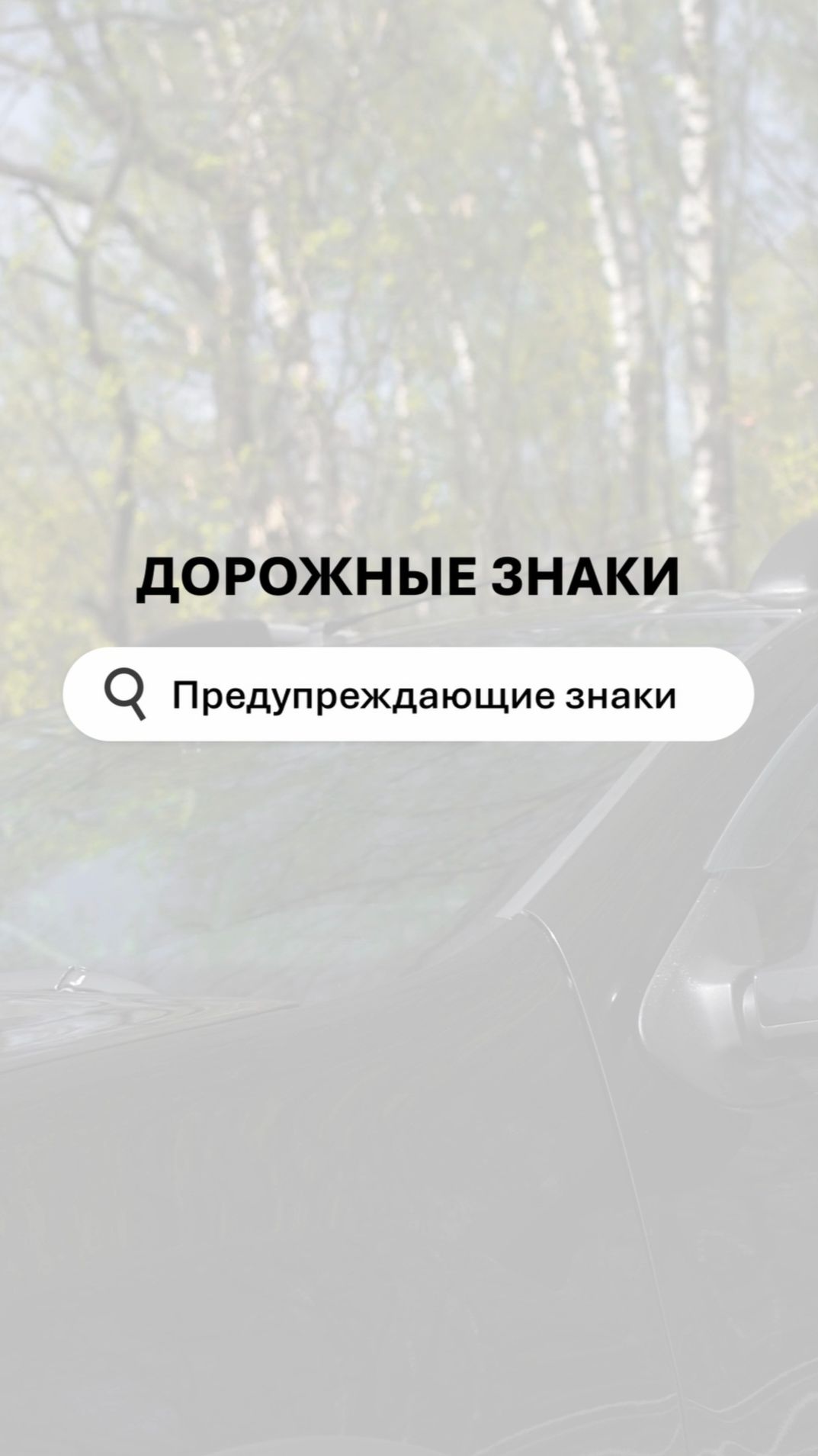 Предупреждающие знаки ПДД