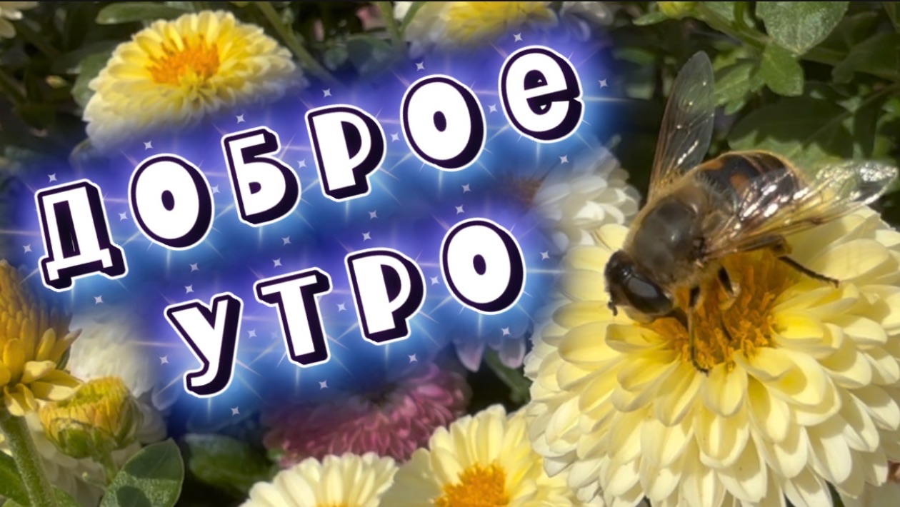 С добрым утром