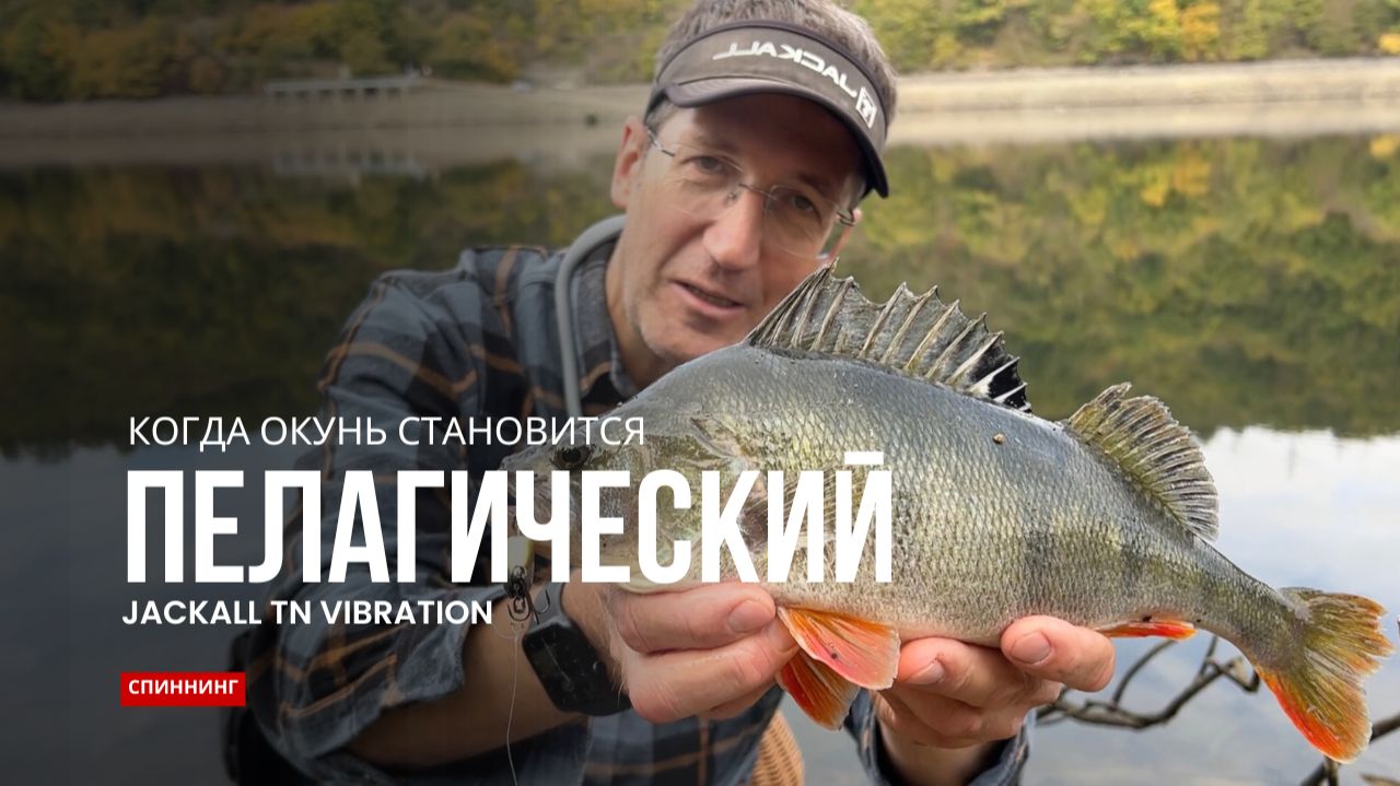 СПИННИНГ: самые разные успешные техники ловли на спиннинг любой хищной рыбы