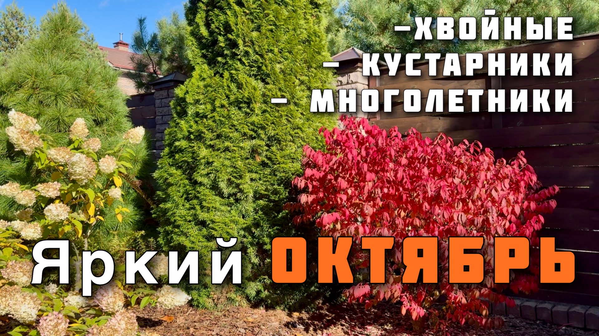 Обзоры сада