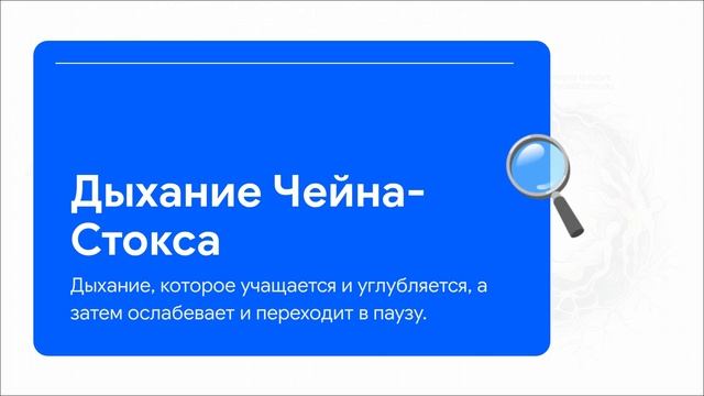 здоровье
