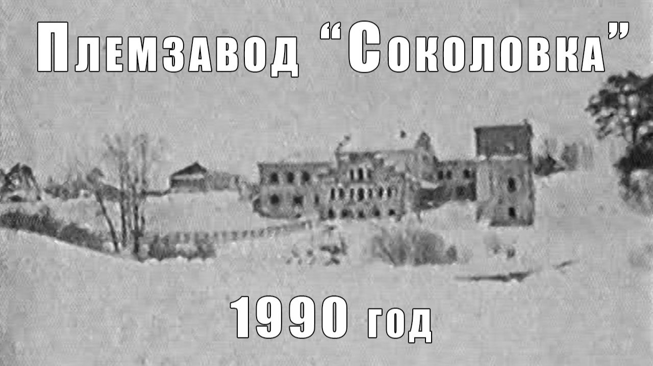 Из архива ГТРК ″Вятка″