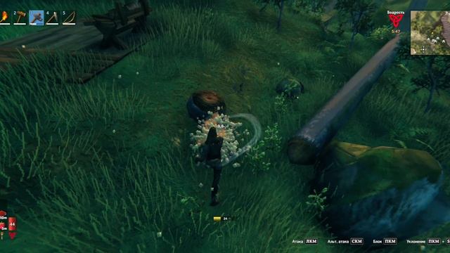 Valheim