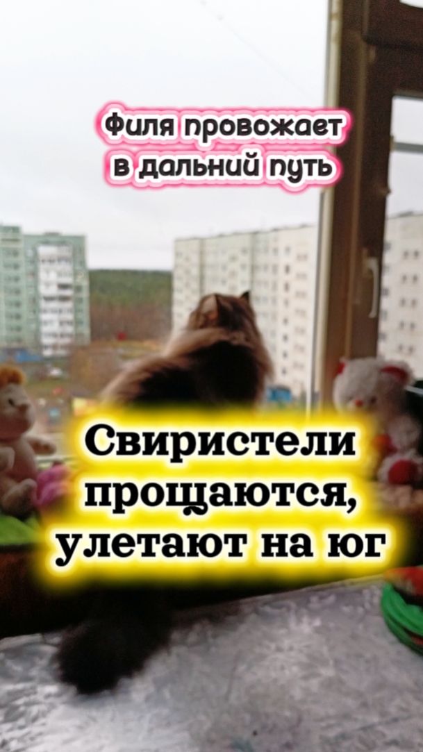 Природа Севера