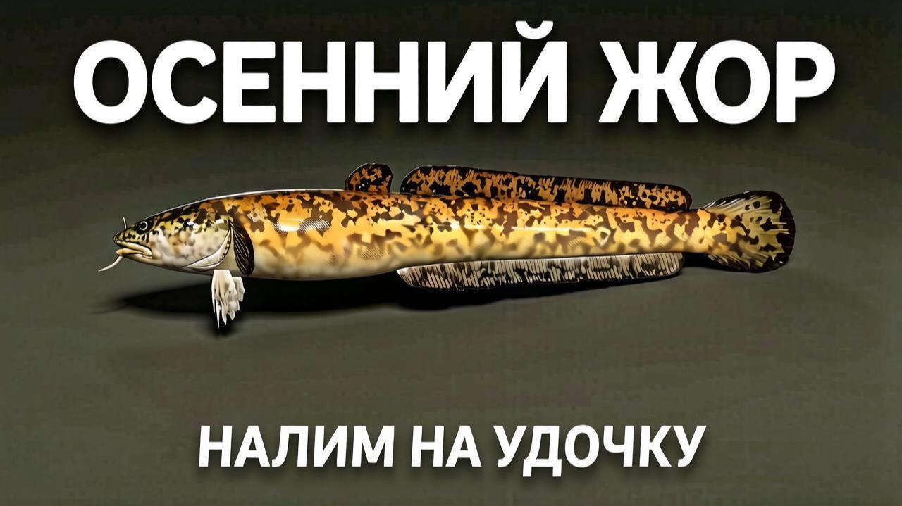 РУССКАЯ РЫБАЛКА