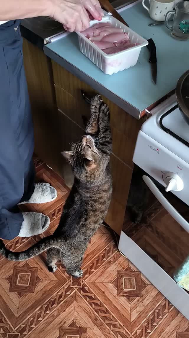 Видосики