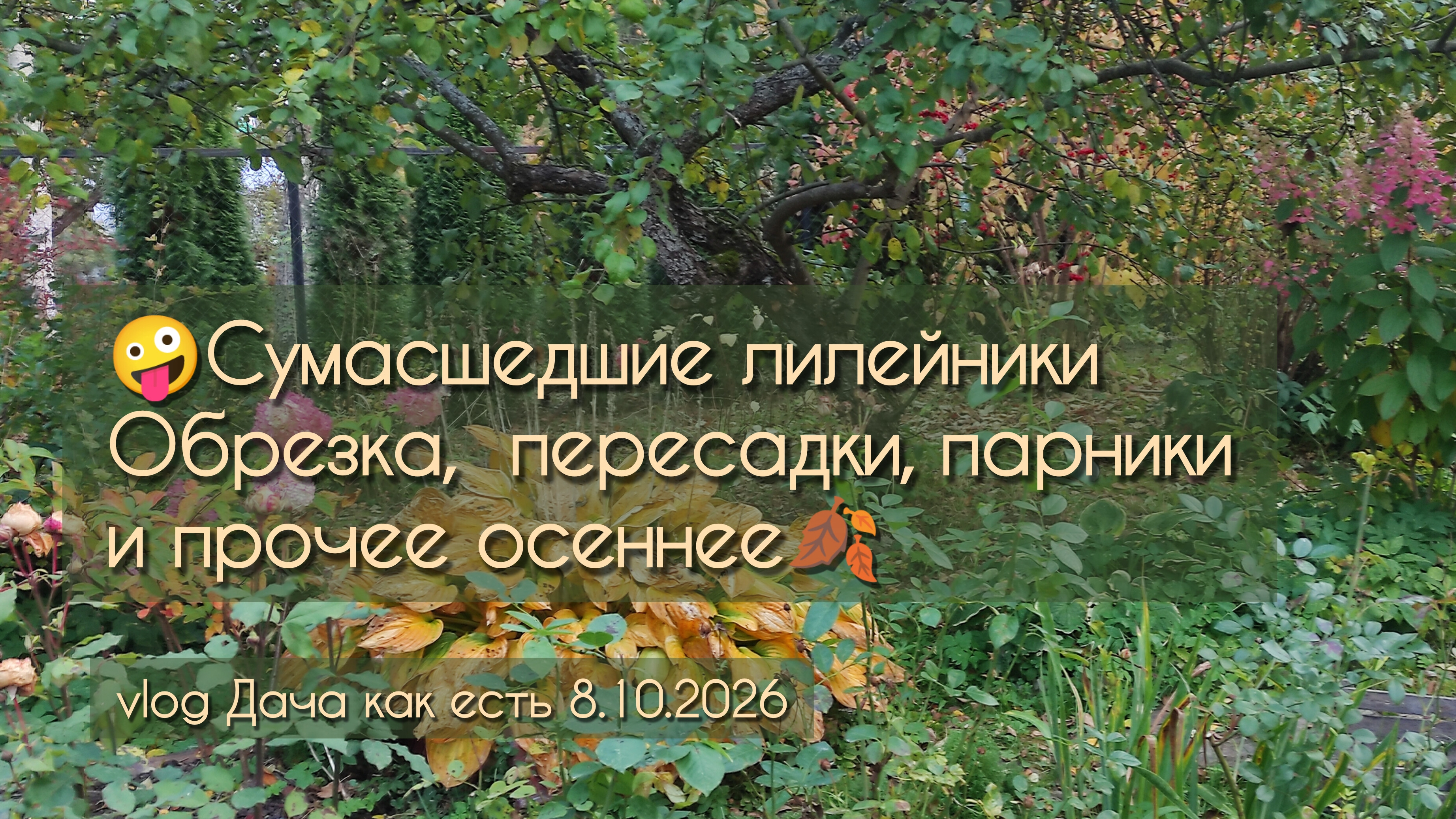 Дача как есть 2026