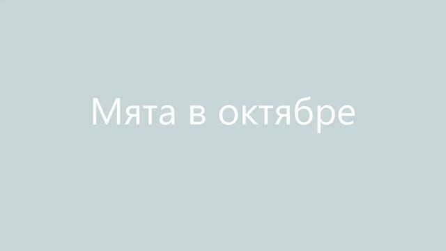 мята