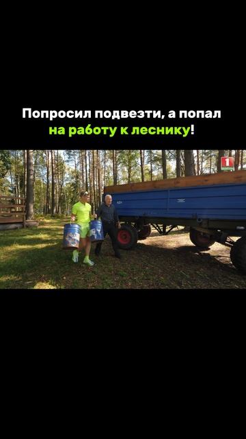 #B1_Shorts