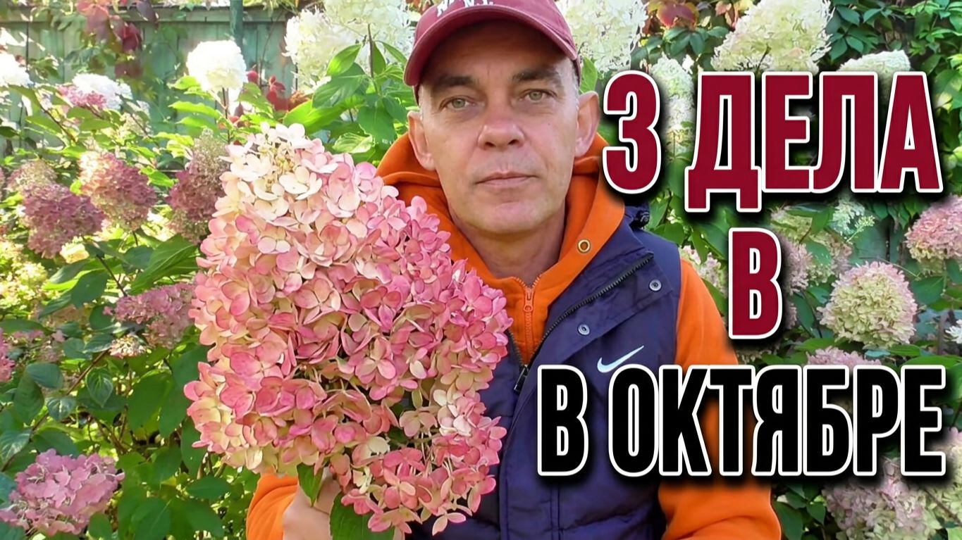 САДОВОЕ ЦВЕТОВОДСТВО