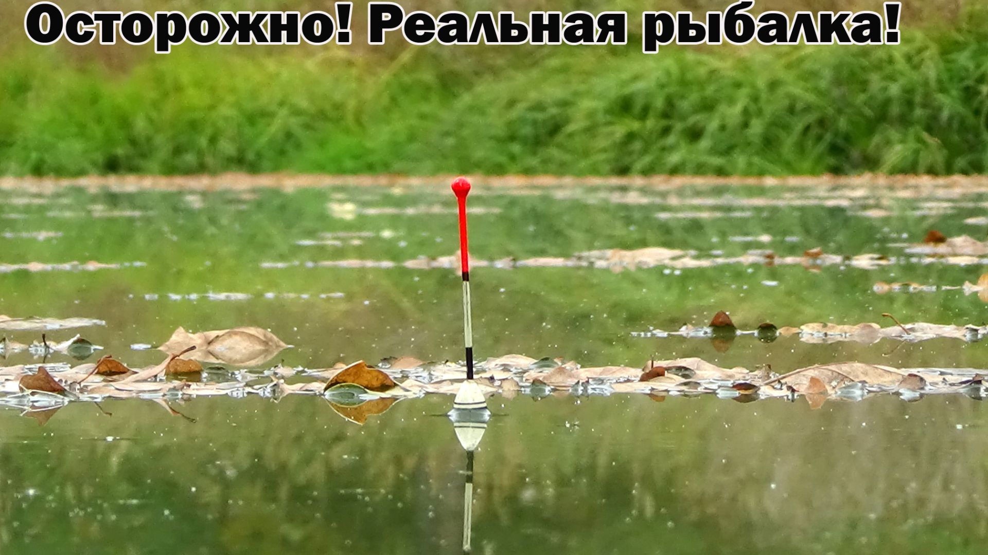 Попробовать поймать сковородного карася на карликокарасёвом пруду
