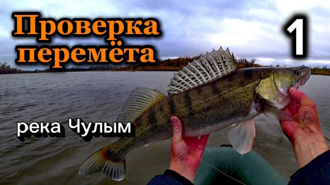 Летняя рыбалка