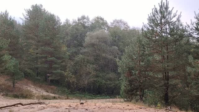 Немного о психологии