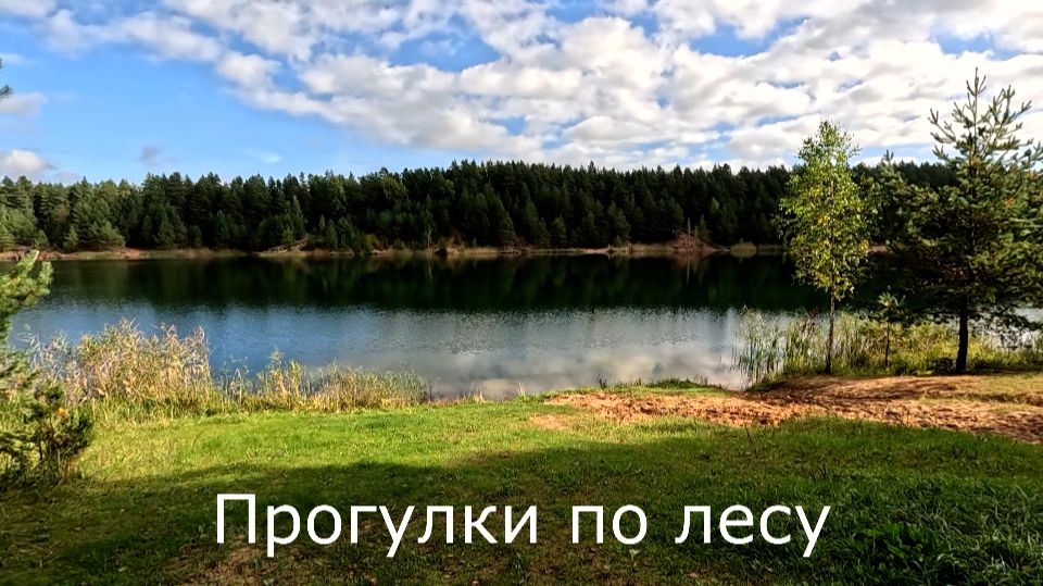 Прогулки по лесу