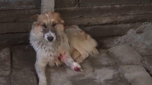 Арцахская война