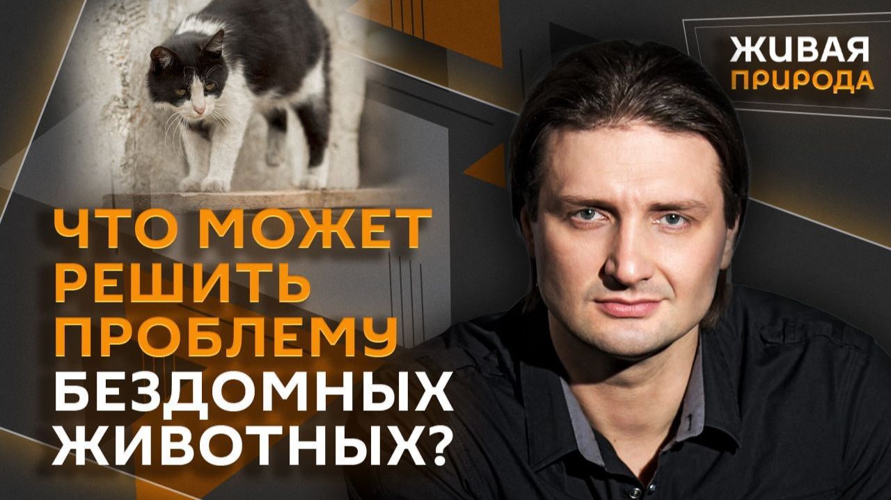Живая природа с Эдгардом Запашным