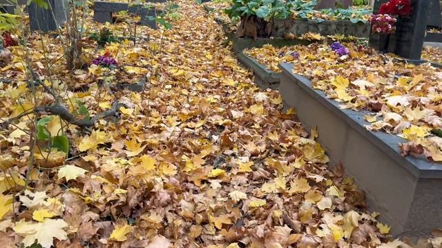 КУНЦЕВСКОЕ КЛАДБИЩЕ