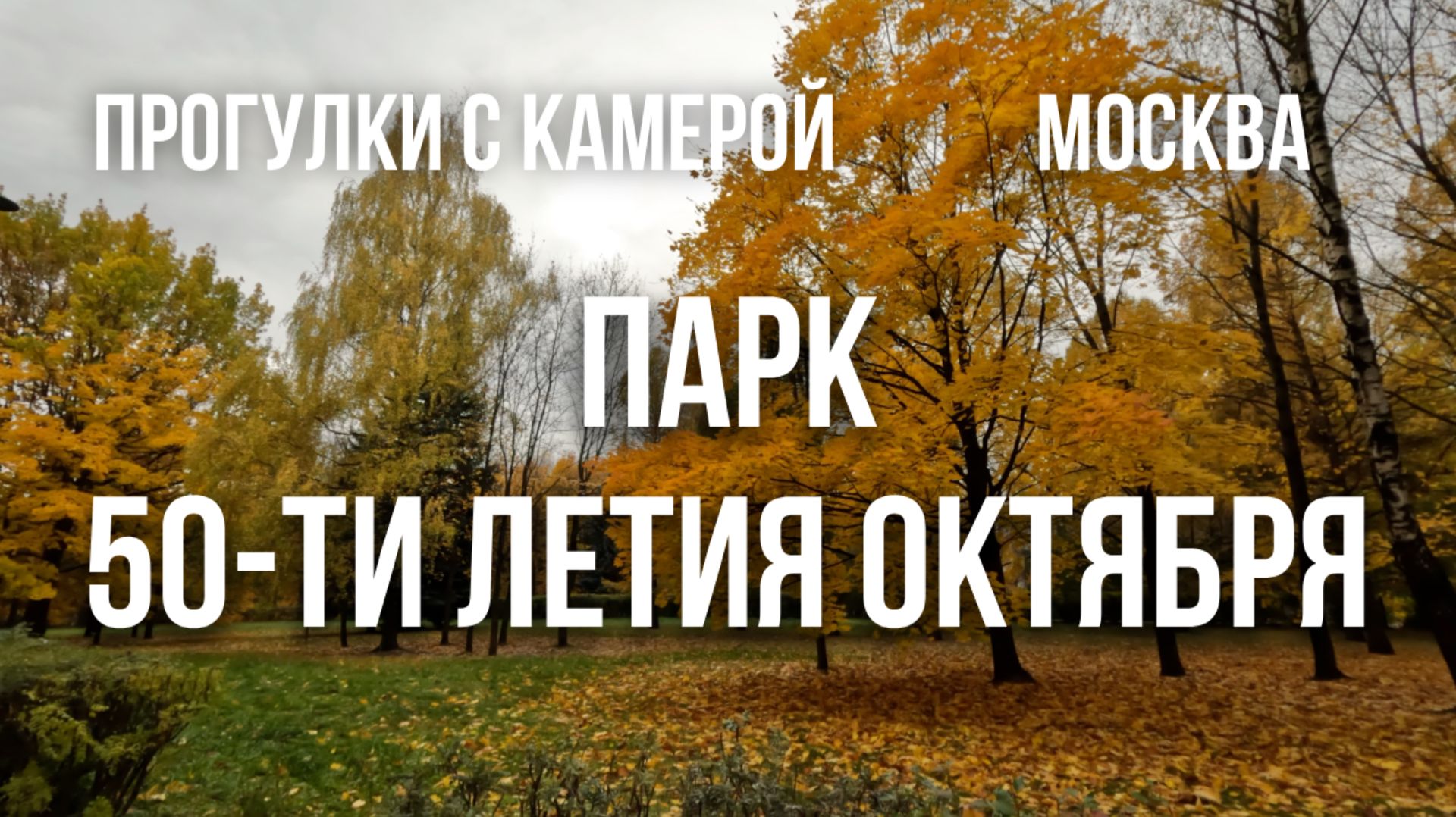 ПРОГУЛКИ С КАМЕРОЙ
