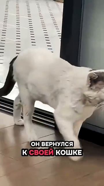 Bonus - осознанность