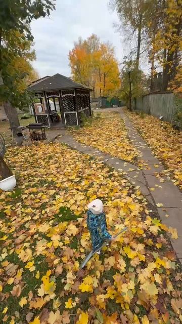 Весёлые будни