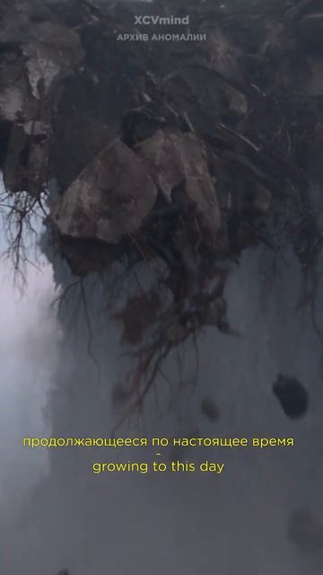 Архив Аномалий