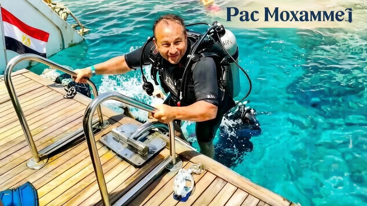 Египет.Шарм Эль Шейх 2026. Жара и море в июле. Rehana Sharm Resort 4*