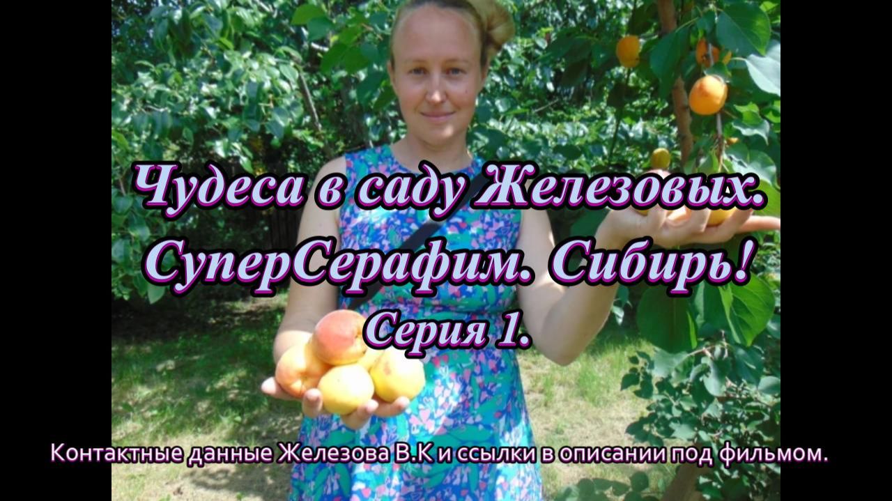 Сад Железовых.