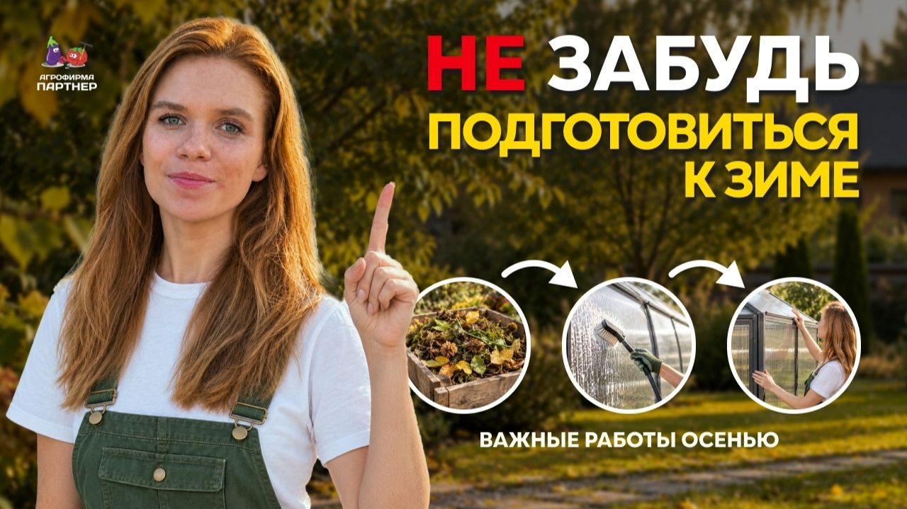 Теплица