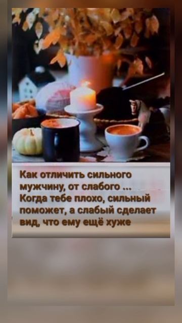 Мысли вслух
