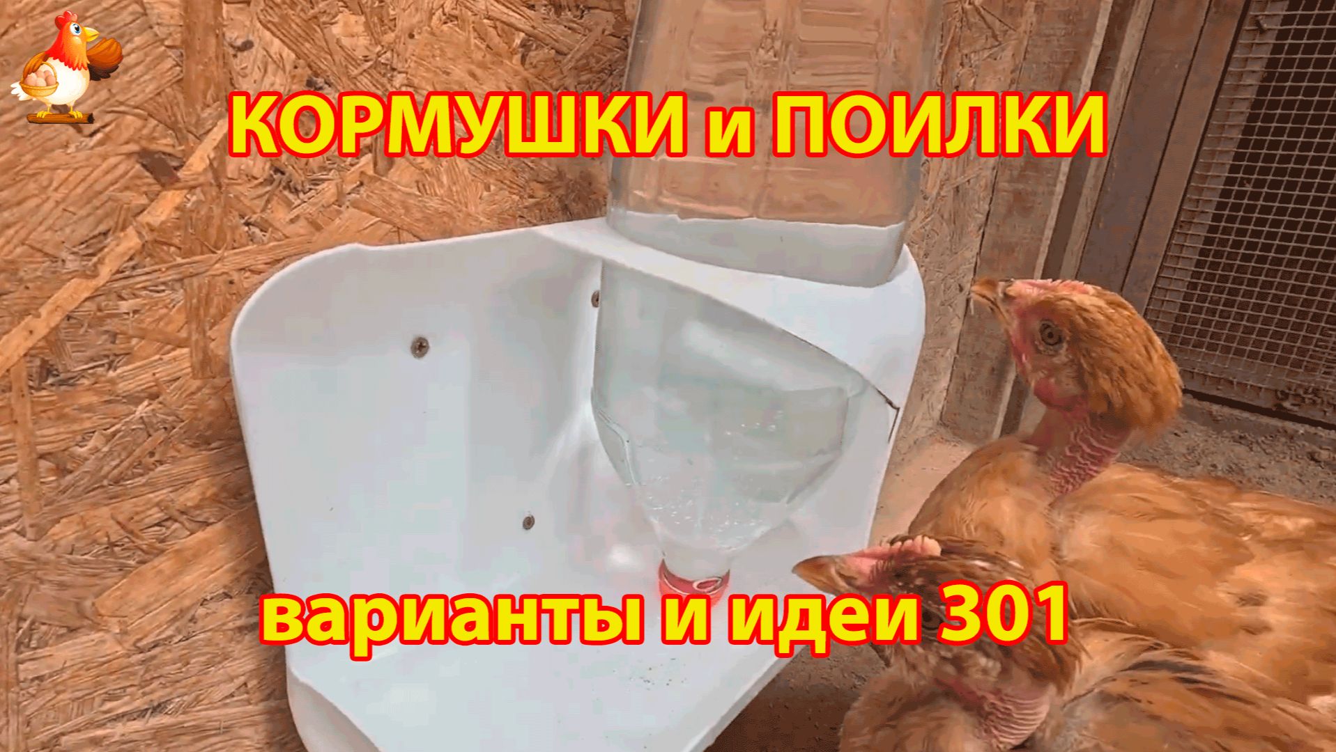 Кормушки и поилки для кур и уток