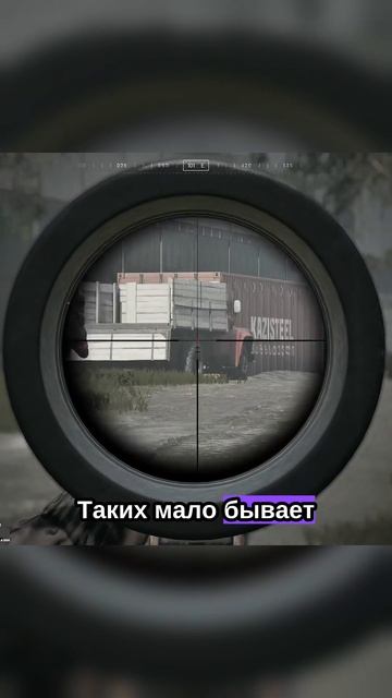 Шортсы по Wardogs